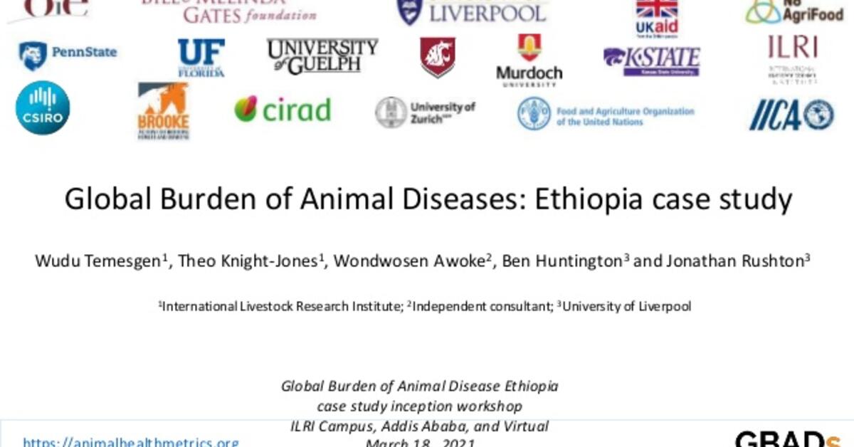 Global Burden of Animal Diseases: Ethiopia case study